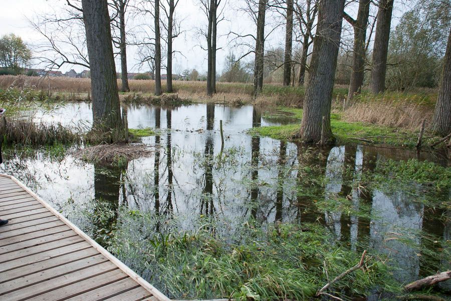 Zeveren Planke - wandeling - fotos - Deinzeonline