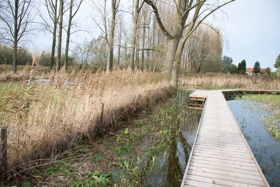 Zeveren Planke - wandeling - fotos - Deinzeonline