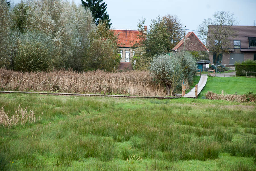 Zeveren Planke - wandeling - fotos - Deinzeonline