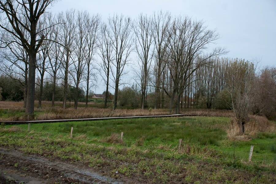 Zeveren Planke - wandeling - fotos - Deinzeonline